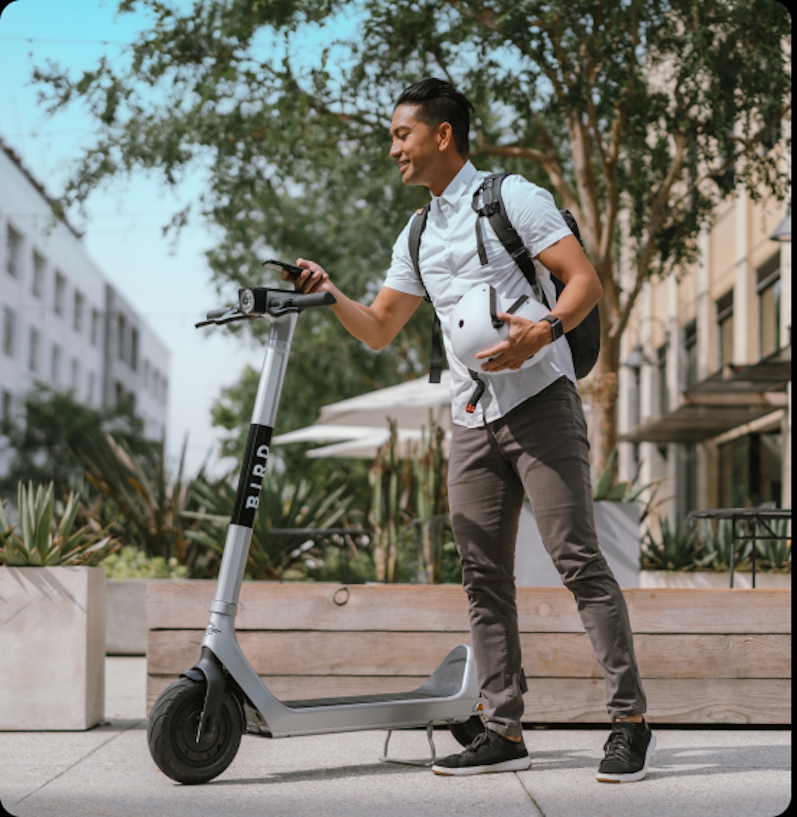 Bird challenges Florence e-scooter ban in court | Florence Daily News